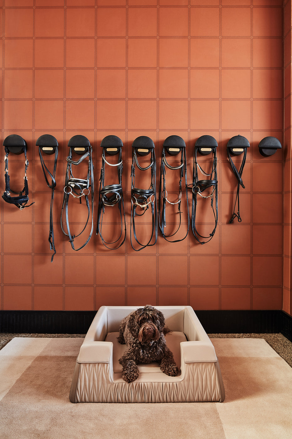 Zuster Designer Small Dog Bed – Zuster Furniture